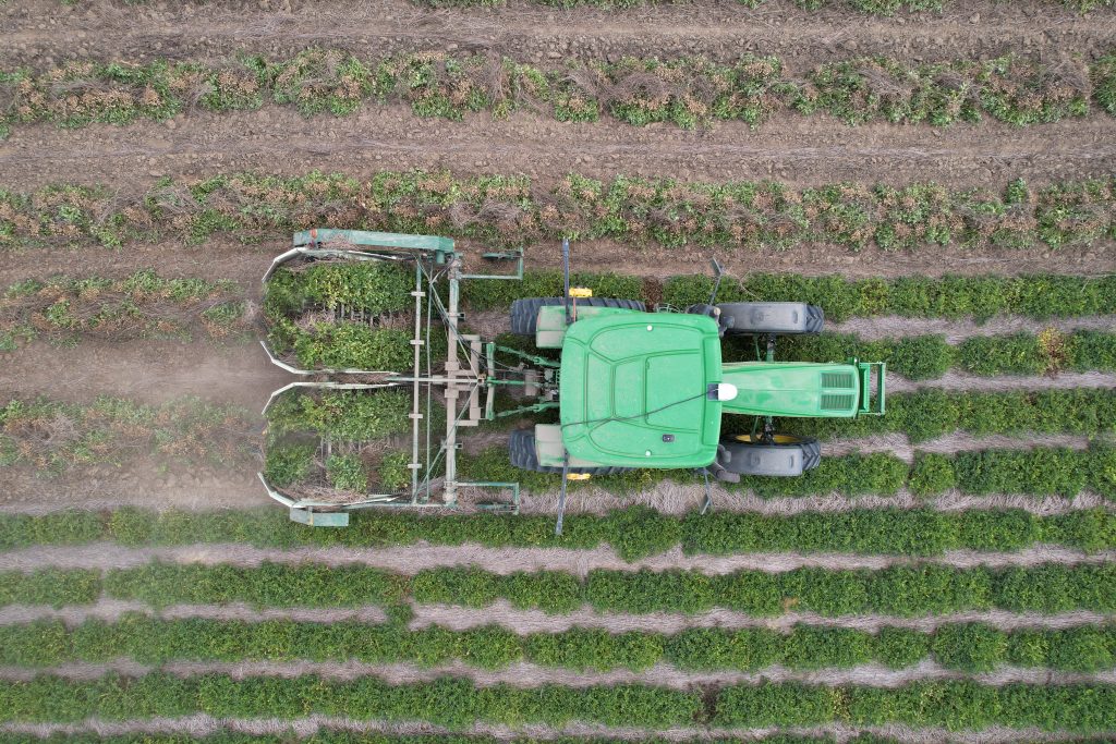 4D Farm Update: October 2024 Wrap-Up - 4D Farm