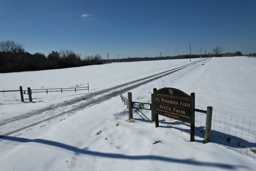 4D Farm Update: January 2025 - 4D Farm