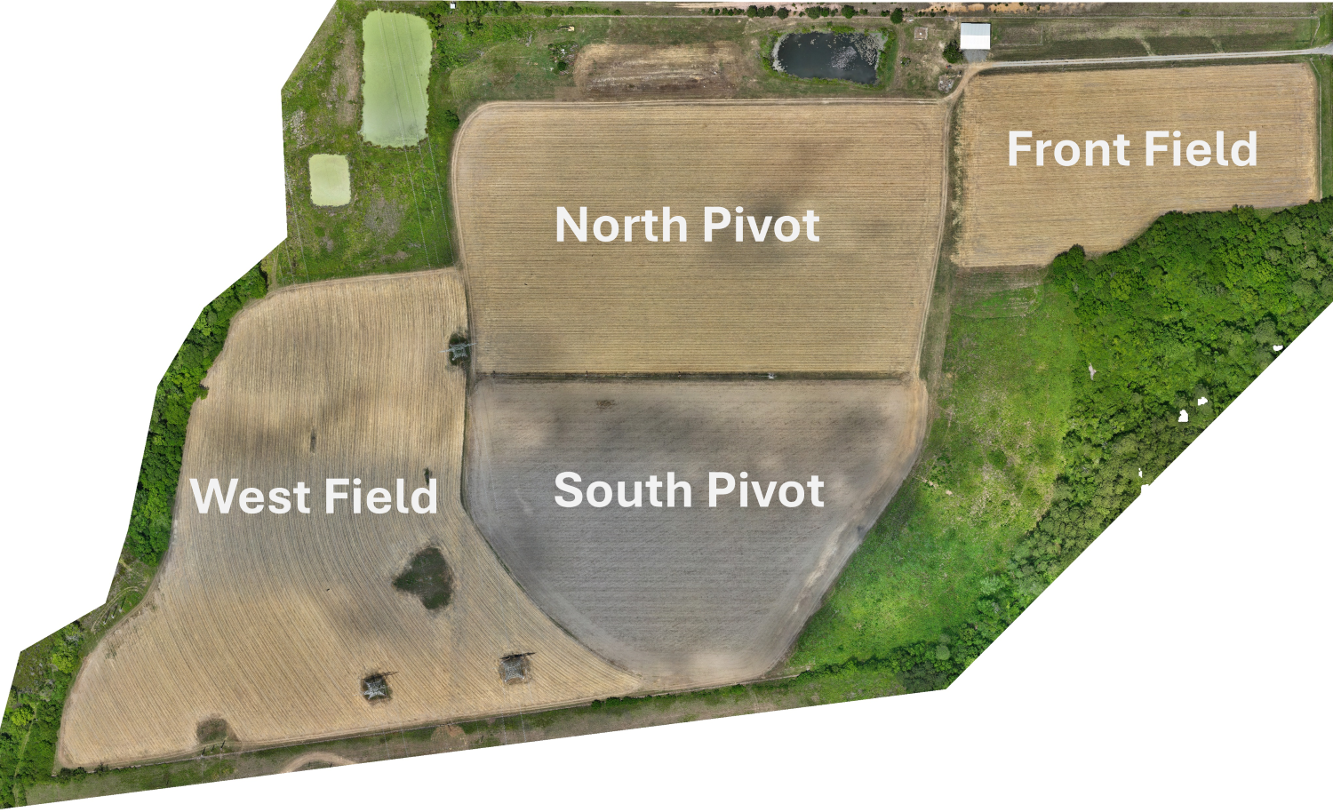 4D Farm Update: April 2025 - 4D Farm